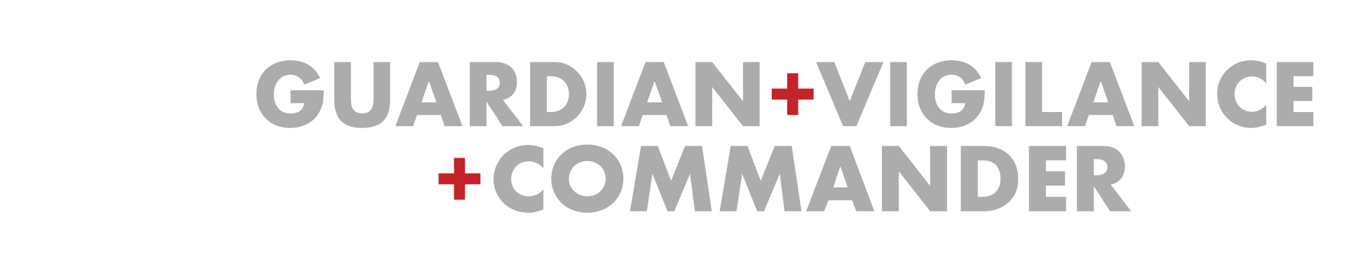 Commander Managed GRC Services Overview